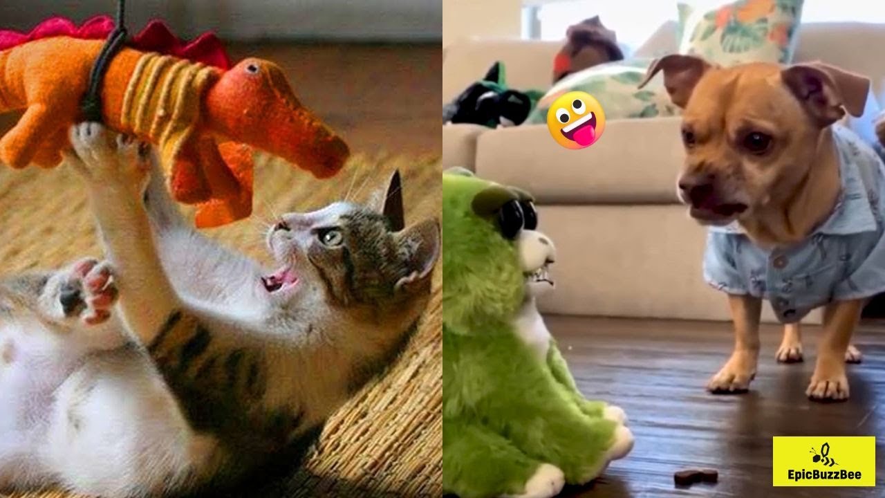Dogs and Cats Reaction to Toys | Funny Animal Reaction Video ...
