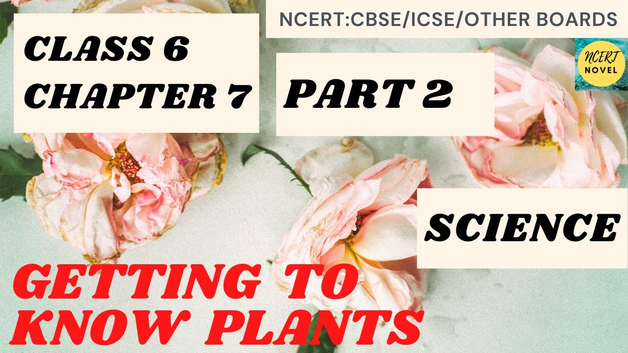 Class 6 Chapter 7 Science Getting To Know Plants Class 6 Ch 7 class-6-chapter-7-science-getting-to-know-plants-class-6-ch-7