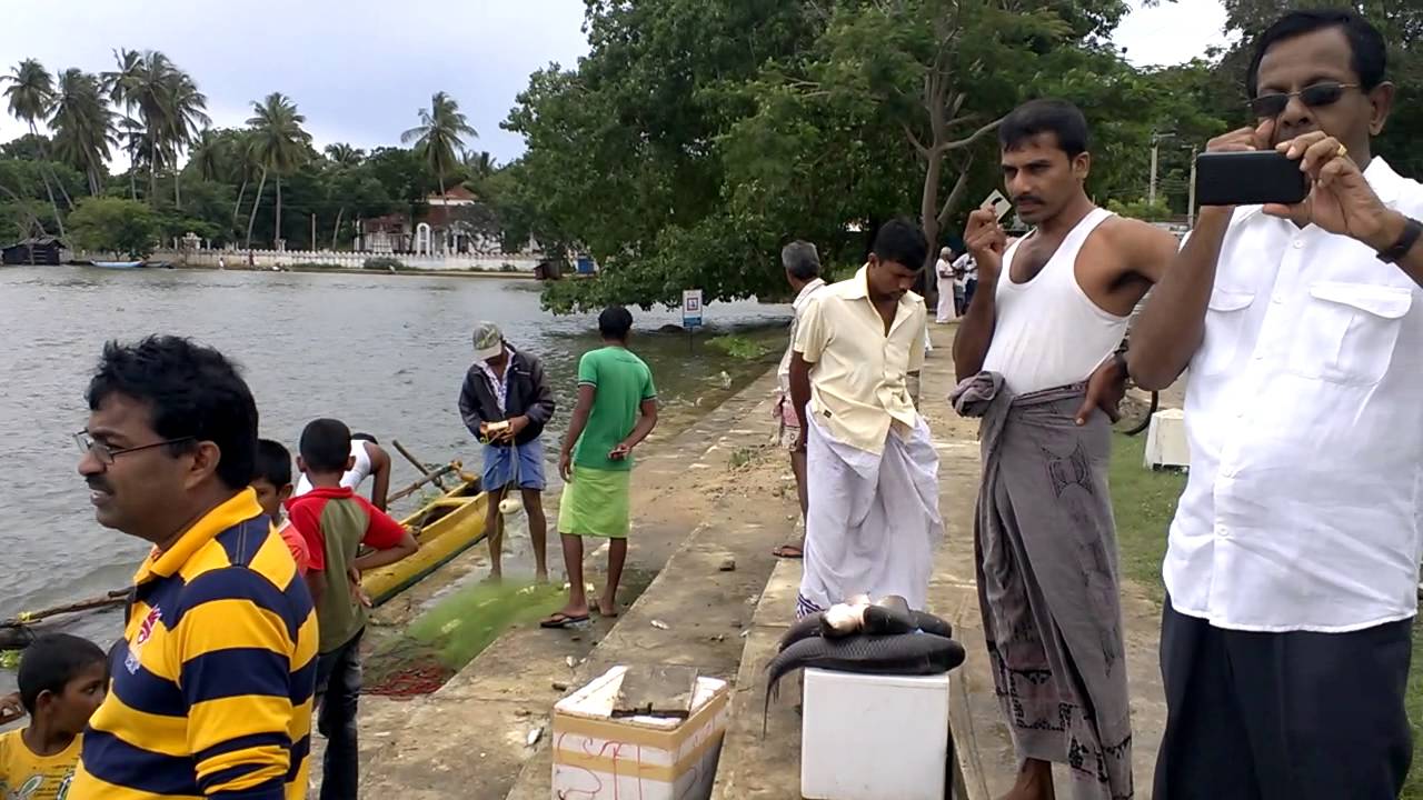 Yoda Wewa at Tissamaharama Sri Lanka – යෝධ වැව - YouTube