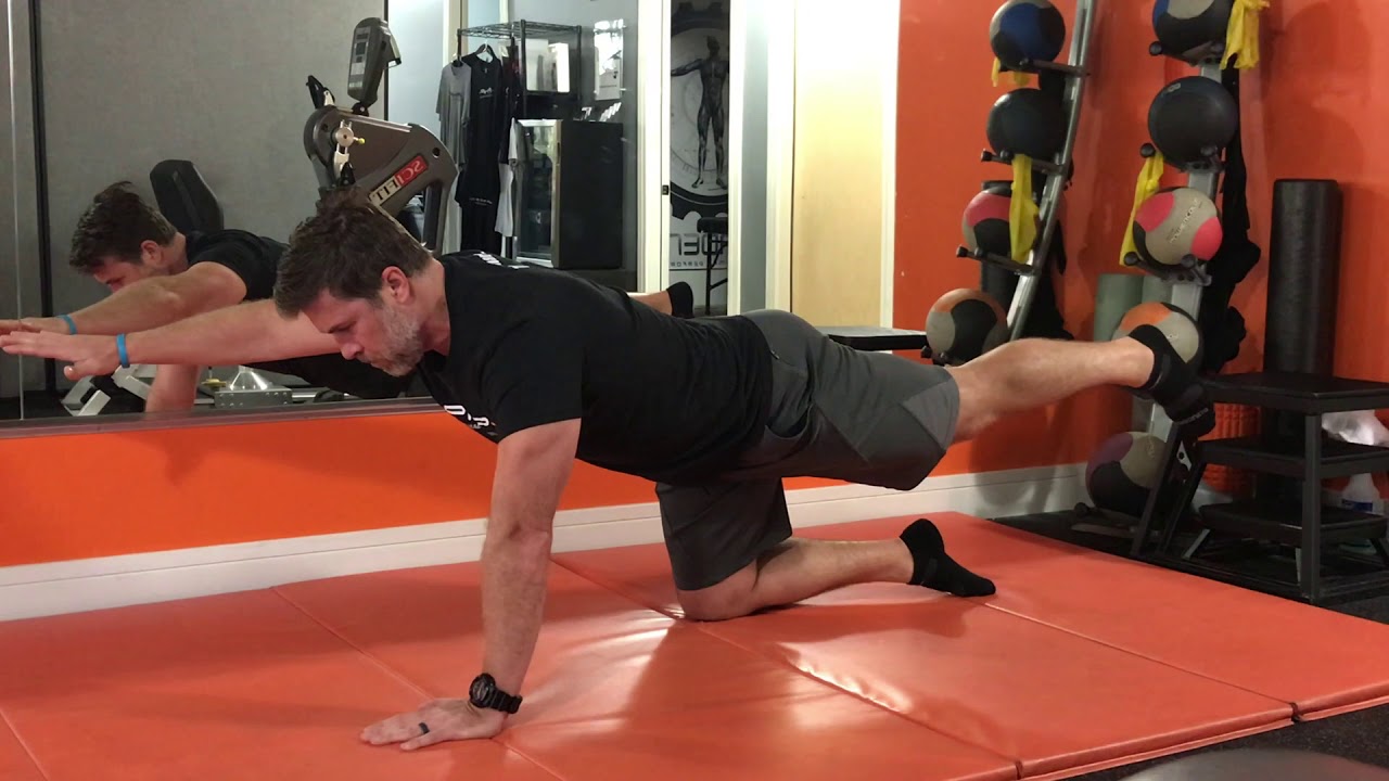 Bird dog static - YouTube