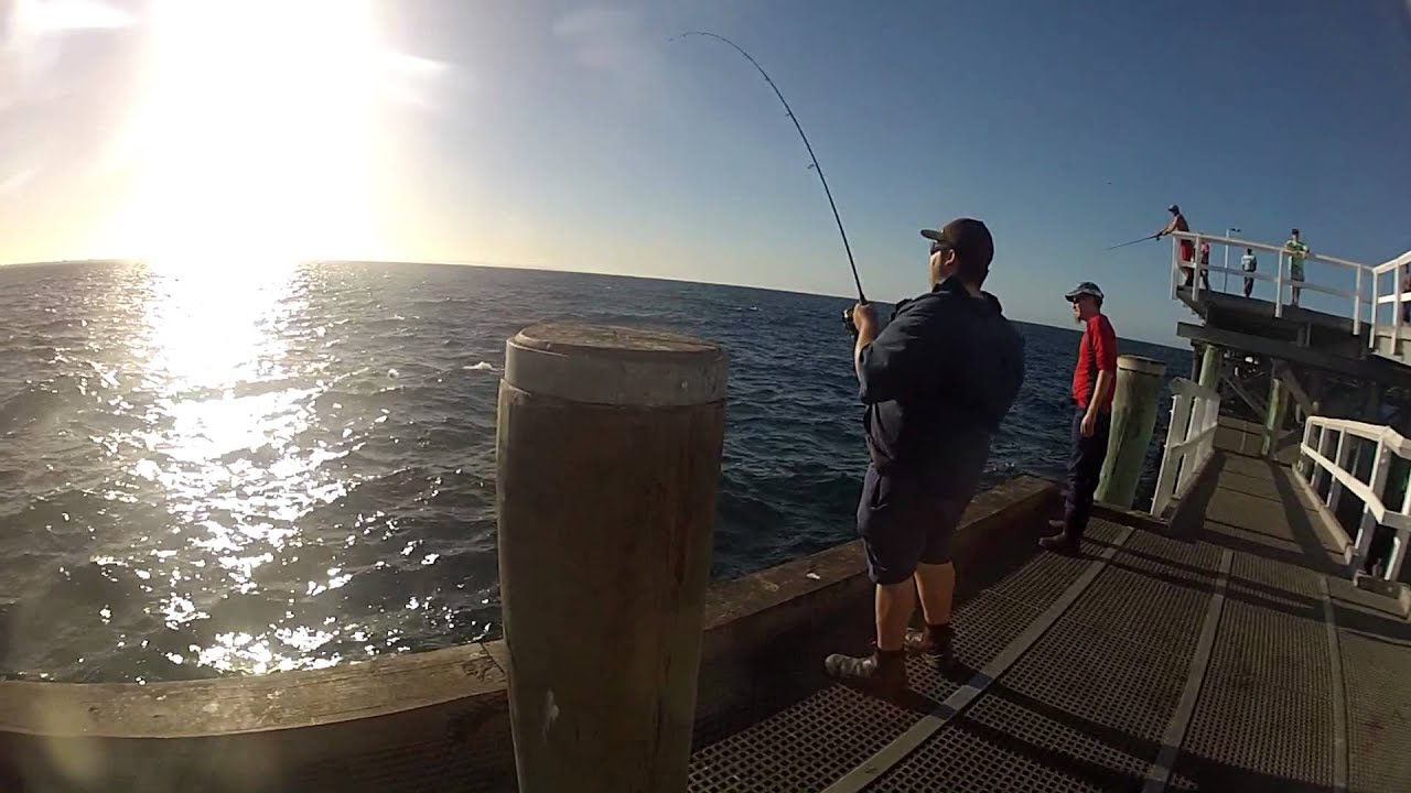 Catching Striped Tuna off Busselton Jetty - YouTube