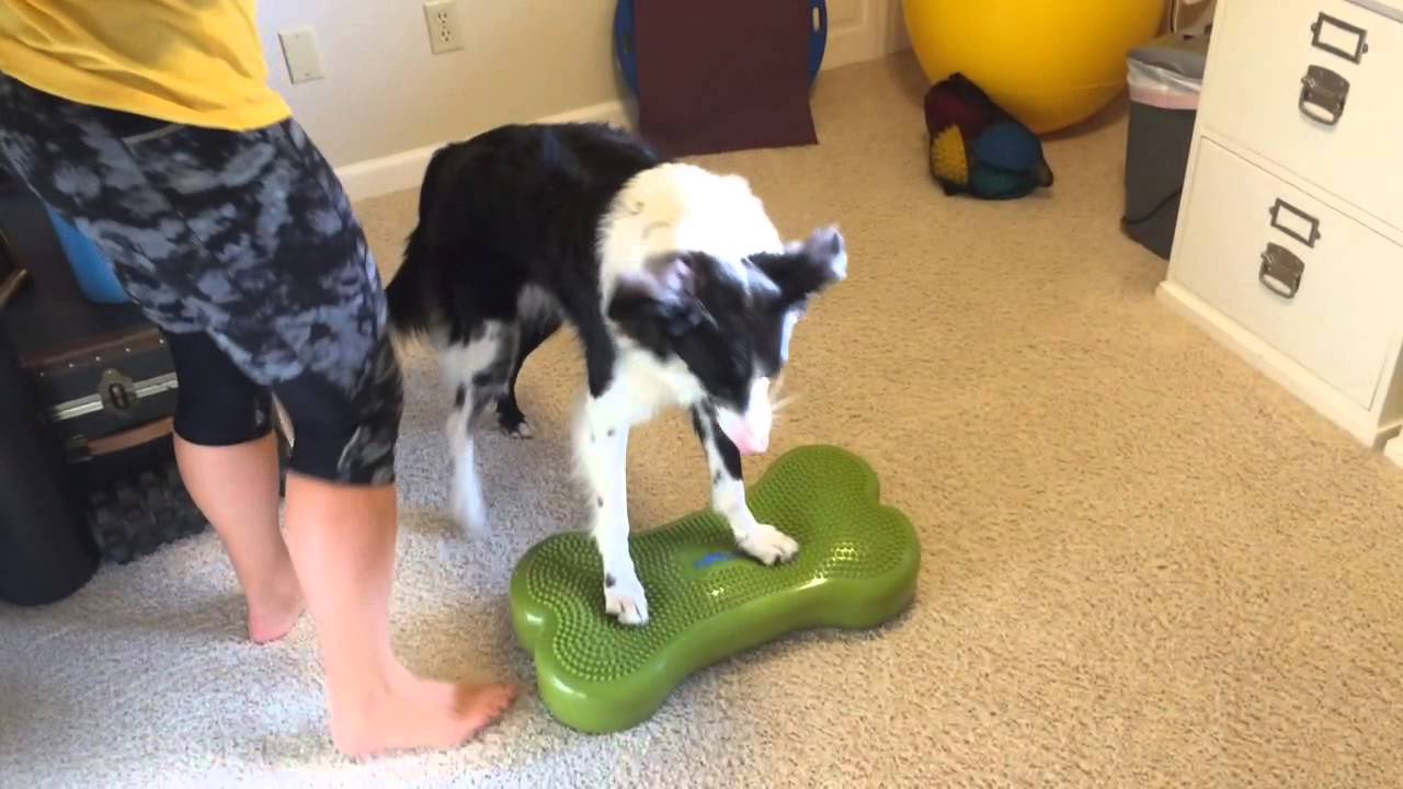 Olaf workout lateral - YouTube