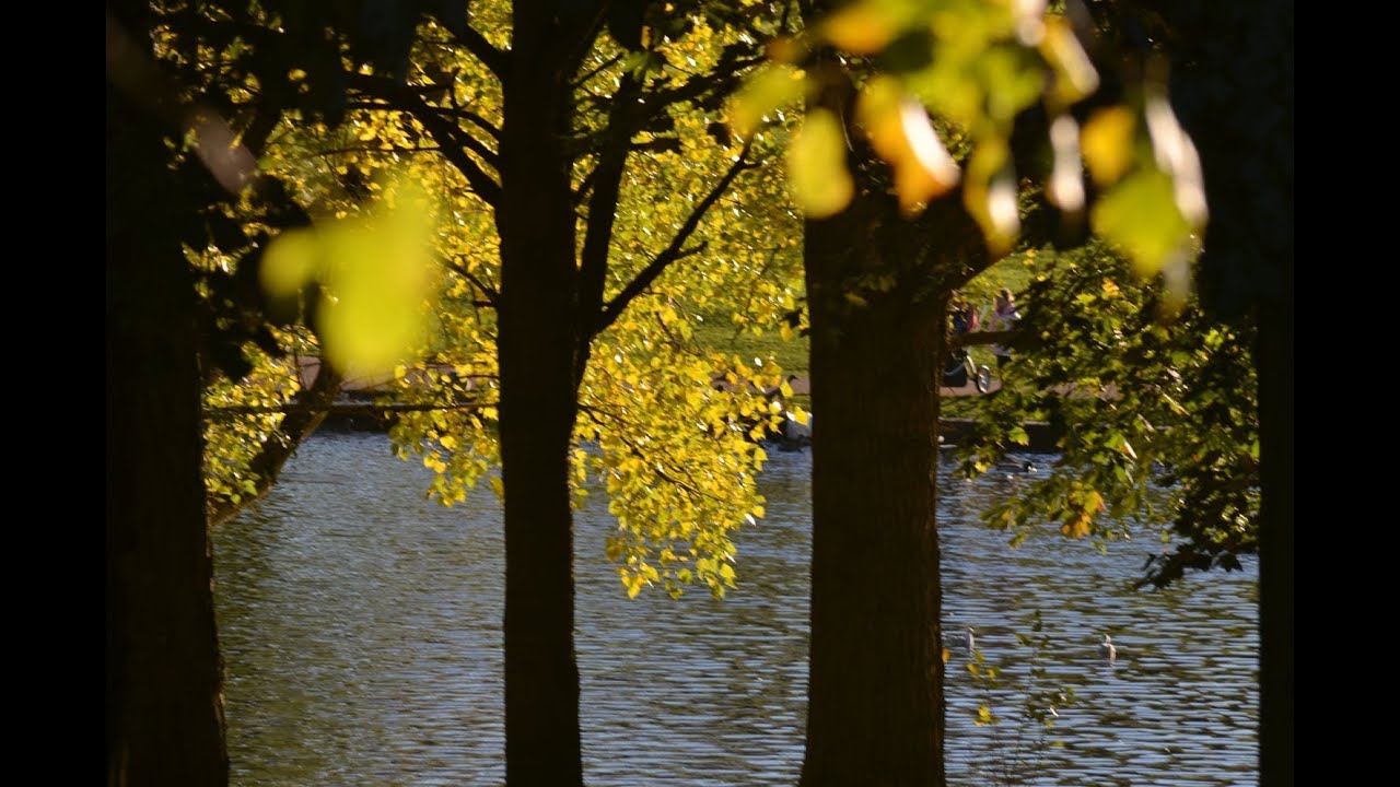 Nostalgic Nature Pictures