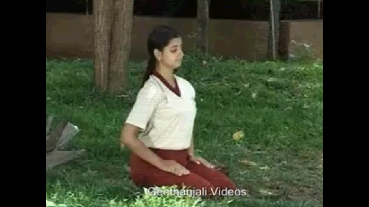 Yoga For Back Pain - Chatus Pada Asana & Chatus Pada Kriya - YouTube