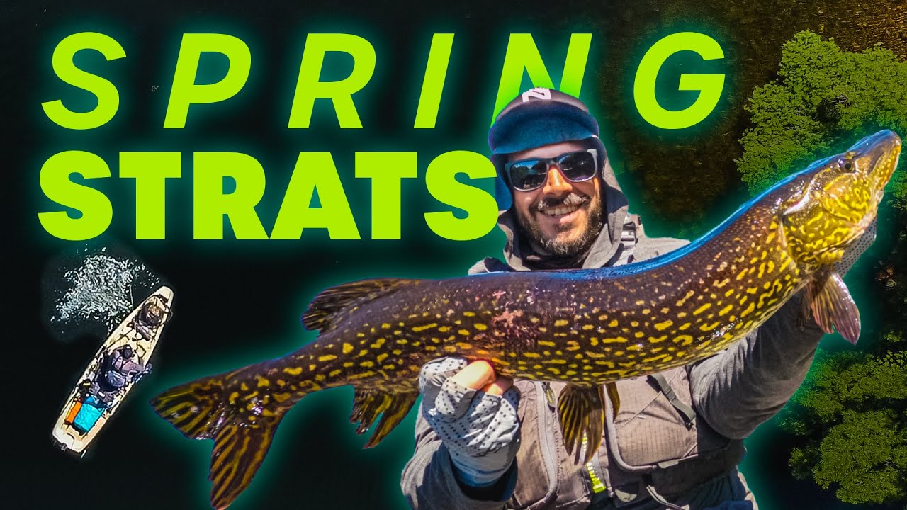 Tips for fishing post-spawn northern pike! - YouTube