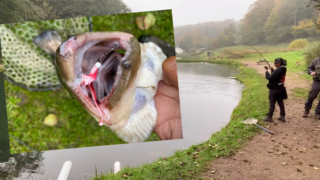 Guide tur - Omura Snake - YouTube