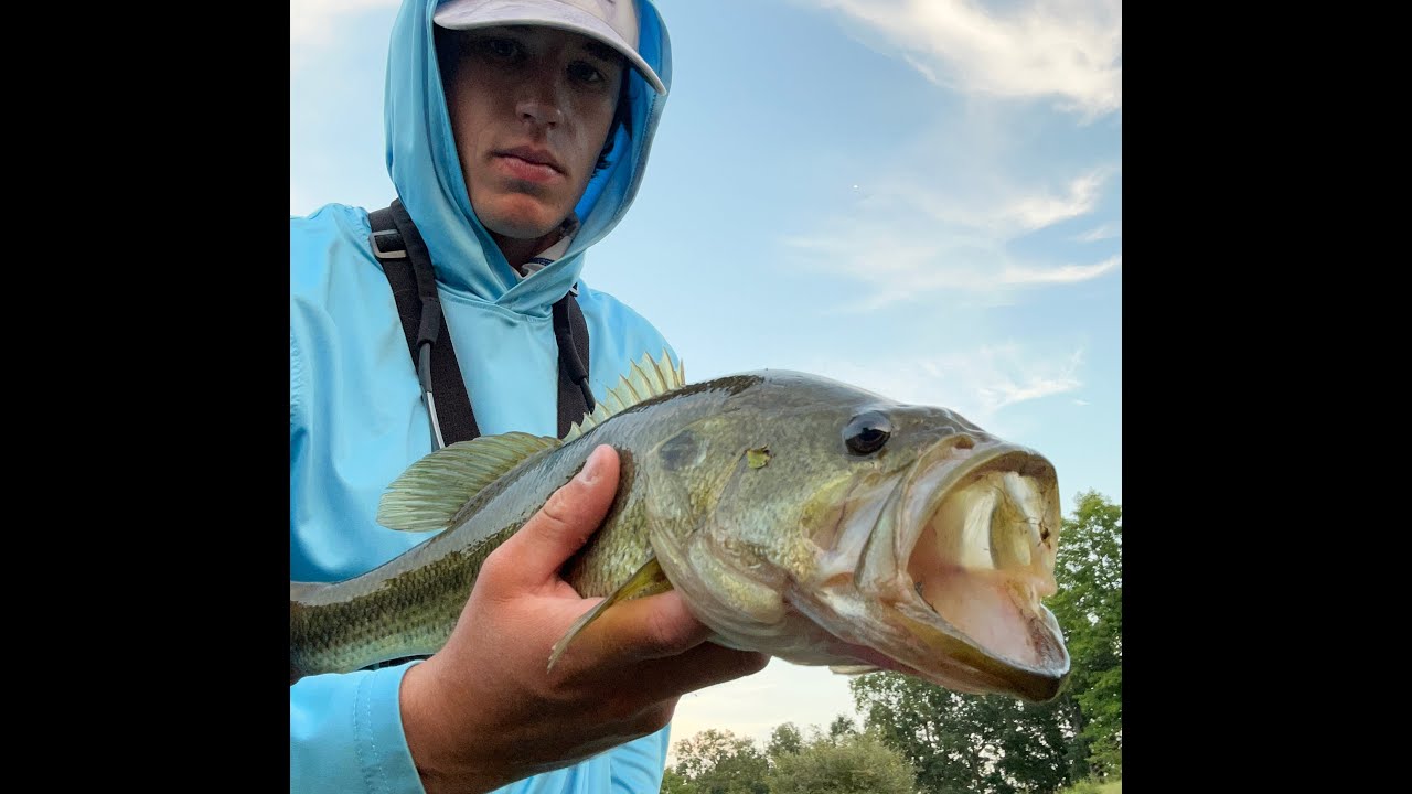 Fishing A Pond In The Middle Of The Woods (Google Maps) Loaded with ...