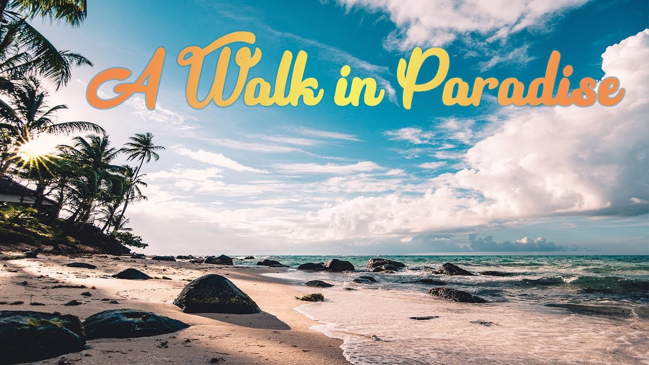 "A Walk in Paradise" Tranquil & Relaxing Instrumental Music Darlene ...