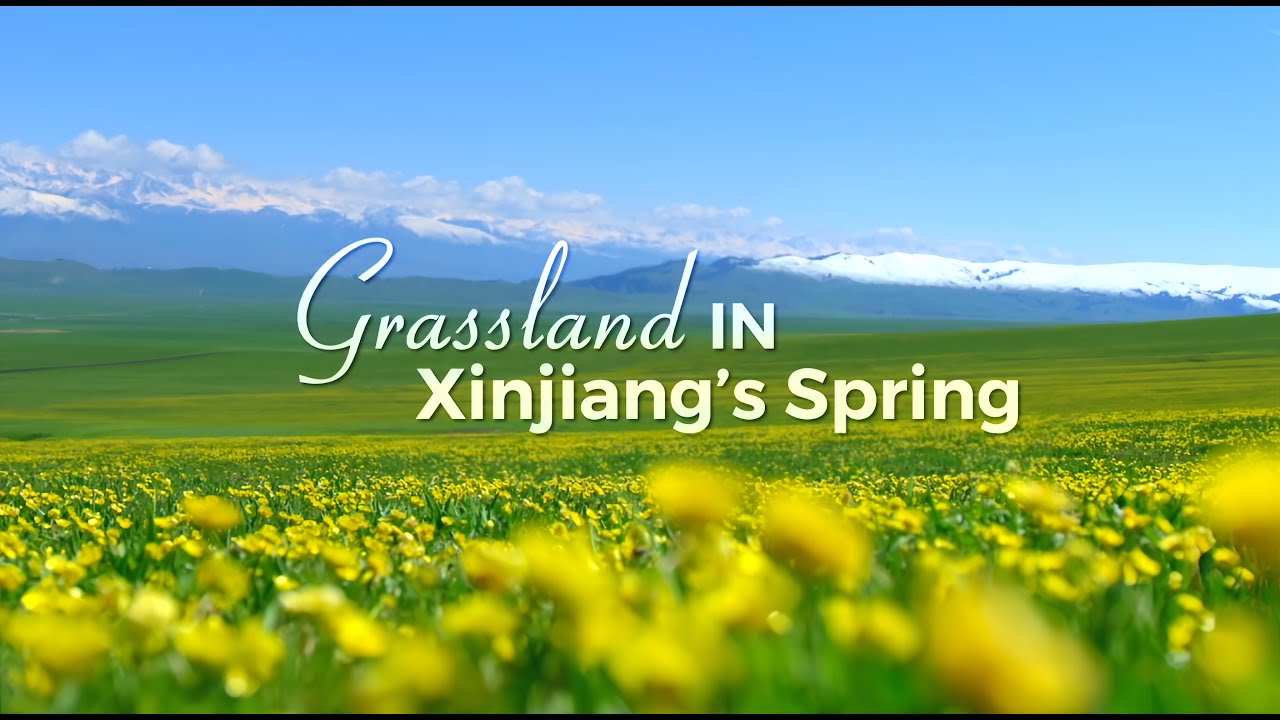 Explore Grasslands in Xinjiang's Spring! - YouTube