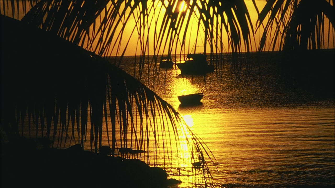 🏰 The Love of Aliens - Jackal Dance - Noble Europe (the Empire) (3 ...