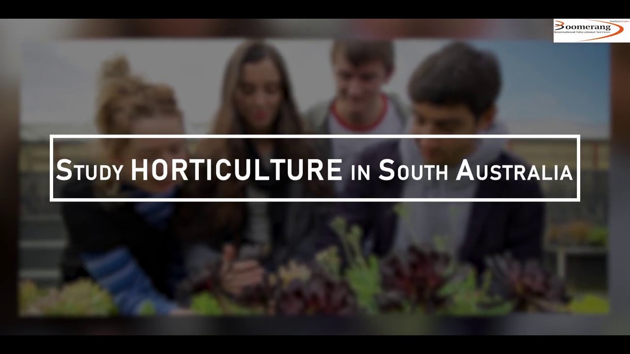 Study Horticulture in Australia - YouTube