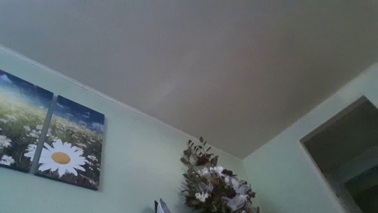 Angelina Solano - YouTube