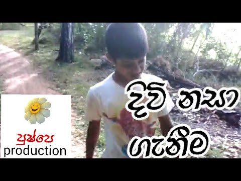 Divi NASA ganima/pushpe production - YouTube