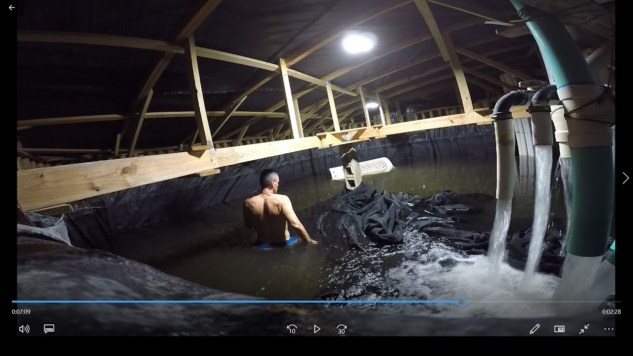 Yearly filth fest: wallow in a year's worth of fish waste - cleaning ...