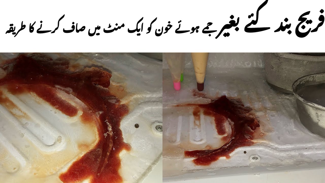How to remove blood from fridge without turning off your fridge ...
