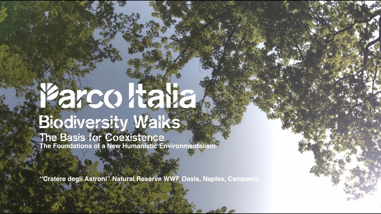 Biodiversity Walks (Parco Italia) | Cratere degli Astroni | Official ...
