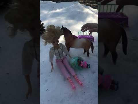 LOLs play in the snow
