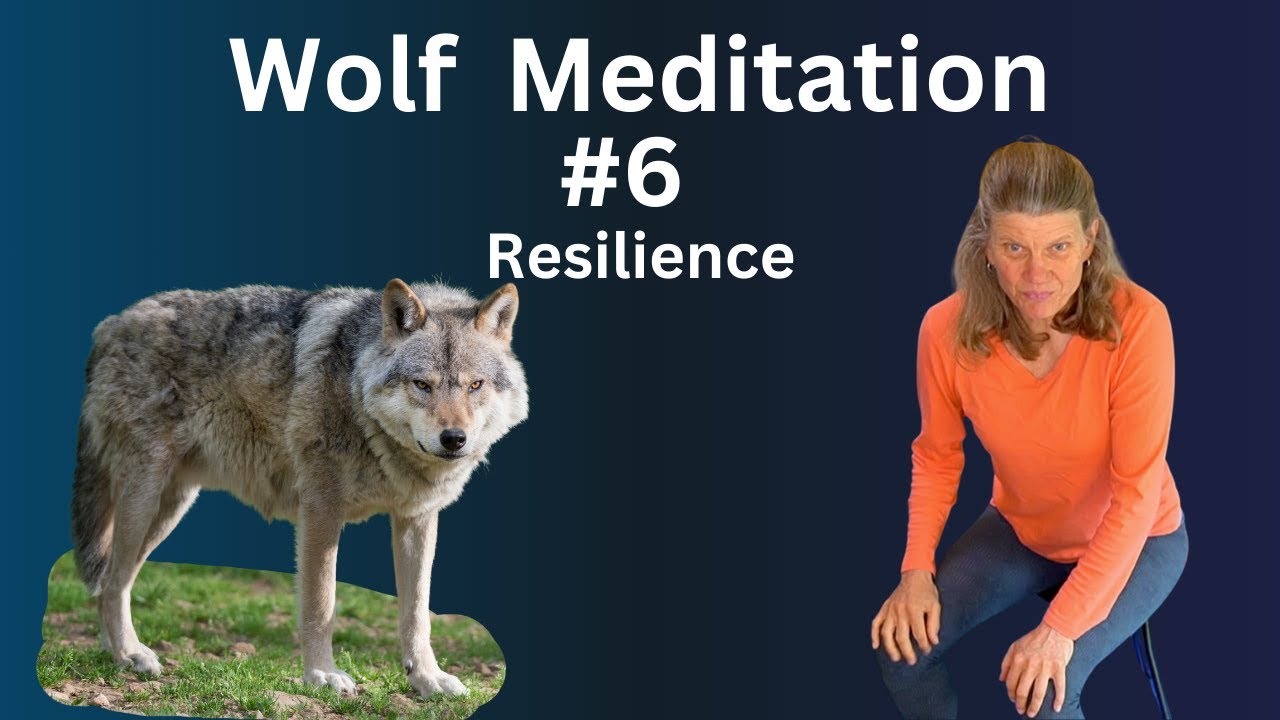 Wolf Meditation #6 - Resilience - YouTube