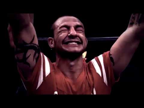 Cub Swanson   Beautiful Destruction   2013 S M S Productions