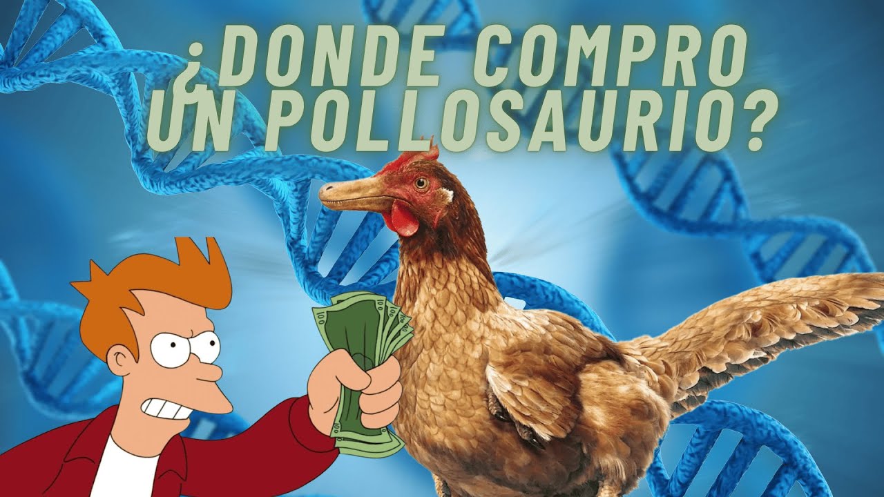 ¿Pollosaurio: El Regreso de los Dinosaurios? 🦖🐔 Ciencia, Ética y Futuro ...