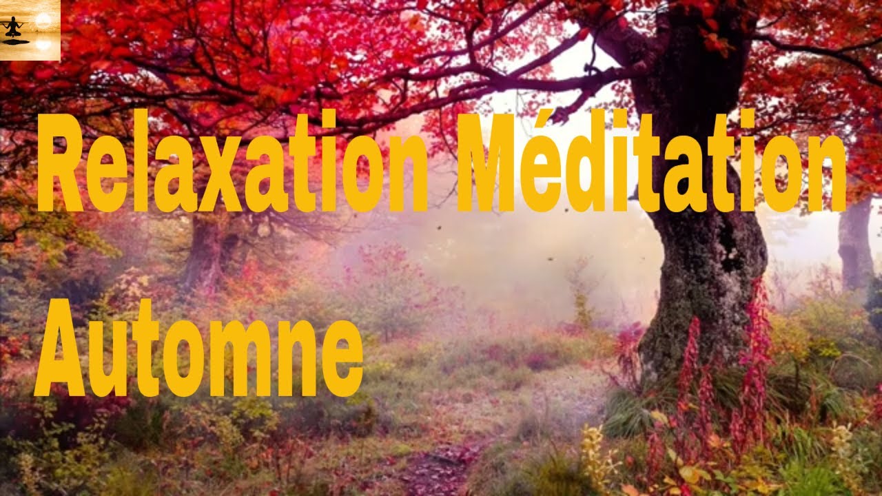 Musique douce meditation relaxation Automne en 432 Hertz - YouTube