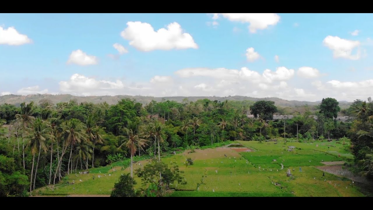 INTEGRATED FARMING SYSTEM : SOLUSI PERTANIAN BERKELANJUTAN - YouTube