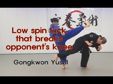 (158)Low spin kick that breaks opponent's knee(Korean martial arts ...