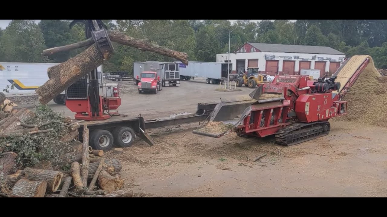 Bandit Beast 4680 Chipping Huge Logs - YouTube