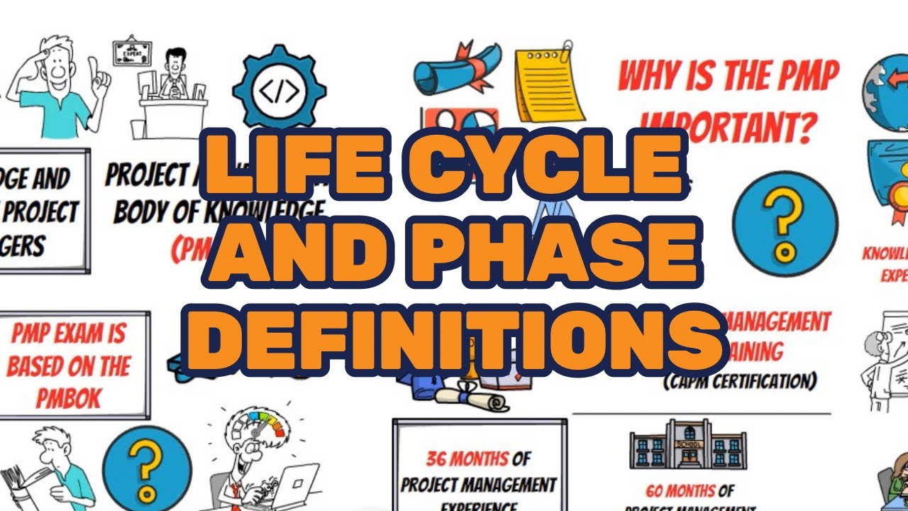 Life Cycle and Phase Definitions - YouTube
