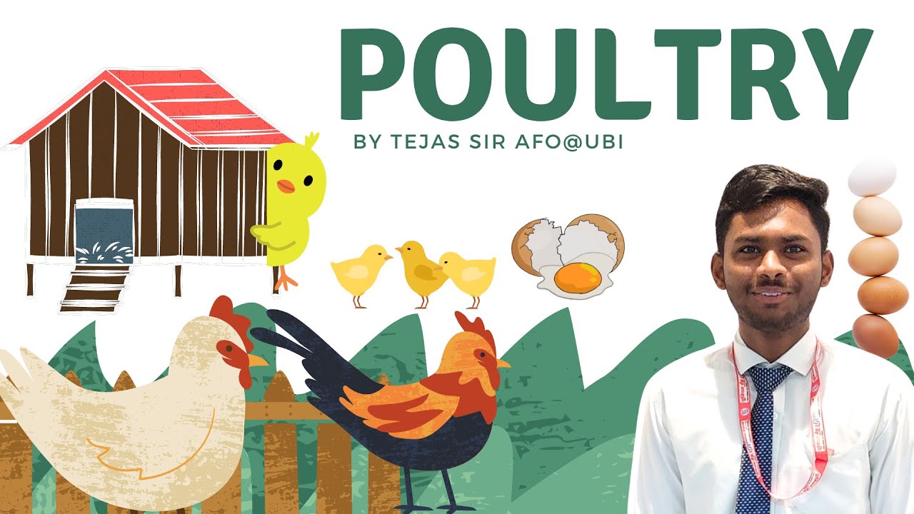 Poultry Morphology Class for IBPS-AFO(Mains) 2025 | By Tejas Sir ...