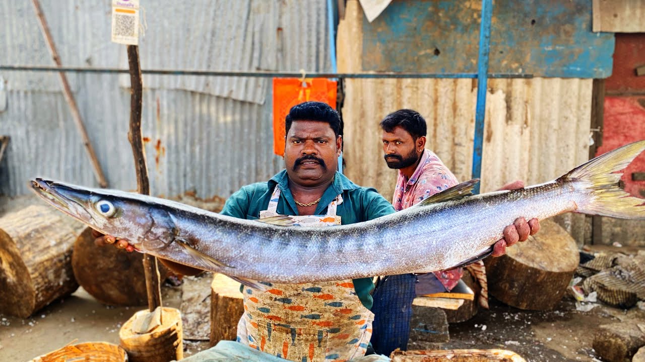 Seela fish 😱kasimedu Bullet speed selvam amazing fish cutting 🔪🔥 - YouTube