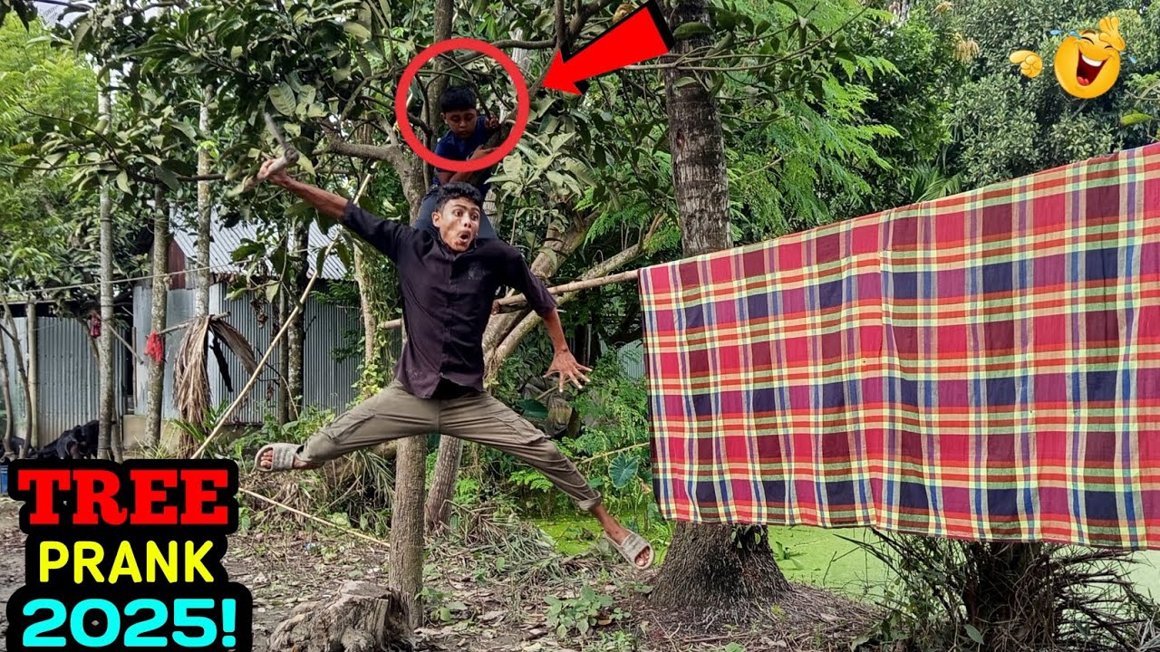 Tree Prank Video In 2025! Funny Reakson Tree Prank Video #treeprank ...
