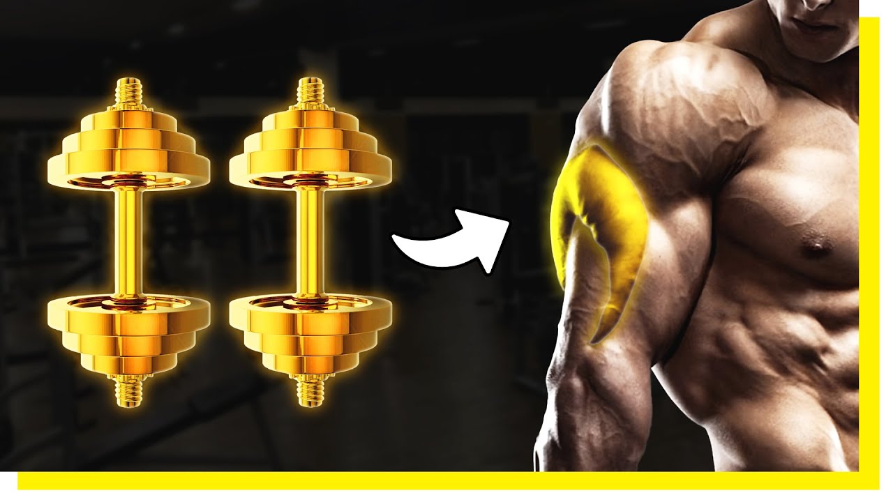 MELHORES exercícios de Tríceps com HALTERES - YouTube