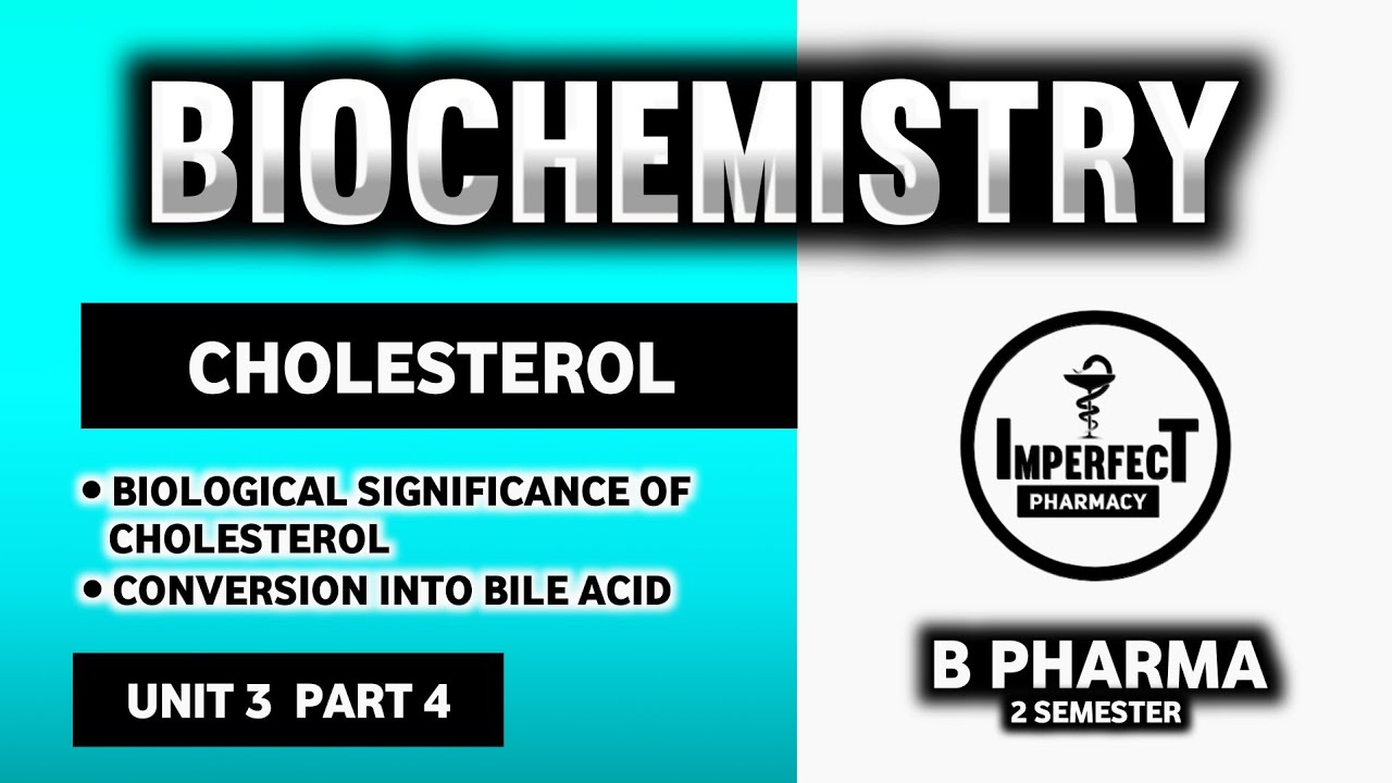 Biological Significance Of Cholesterol | Conversion Of Cholesterol Into ...