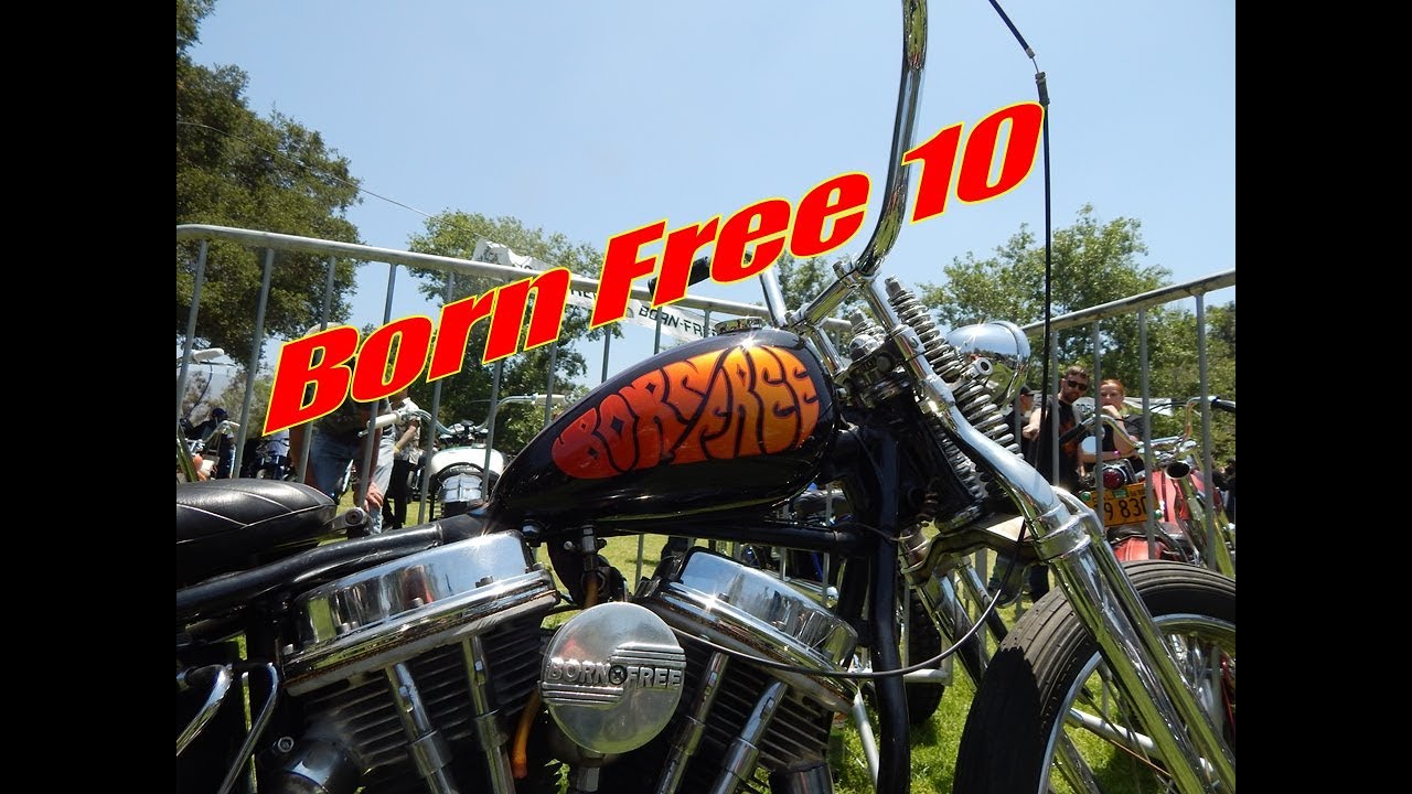 BORN FREE 10 - YouTube