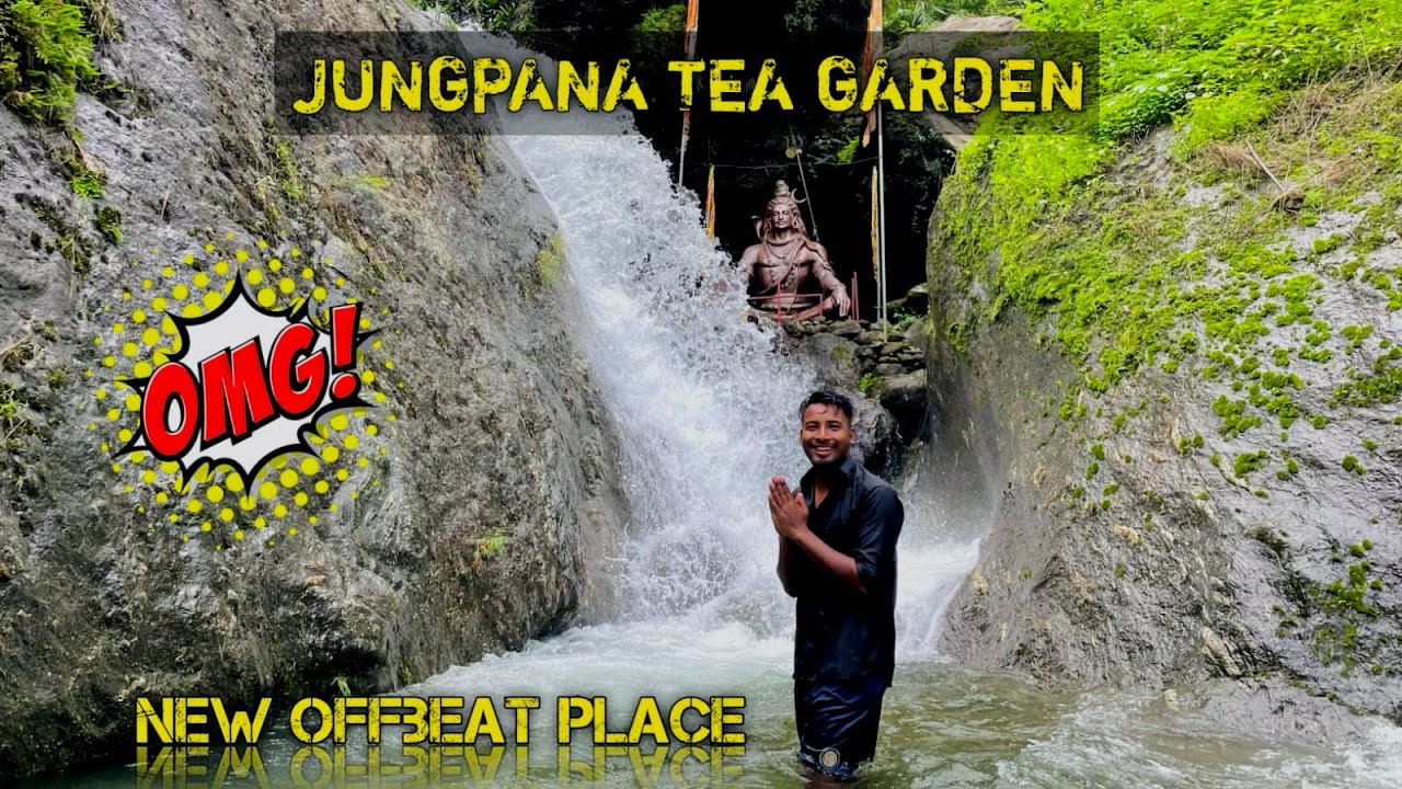 Jungpana Tea Garden || New Offbeat Place || Hidden Waterfalls || Near ...