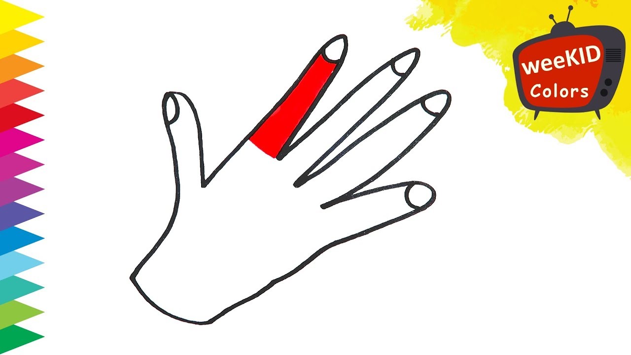 How Do I Color My Hand | How to Draw Hand | weeKID Coloring Pages - YouTube