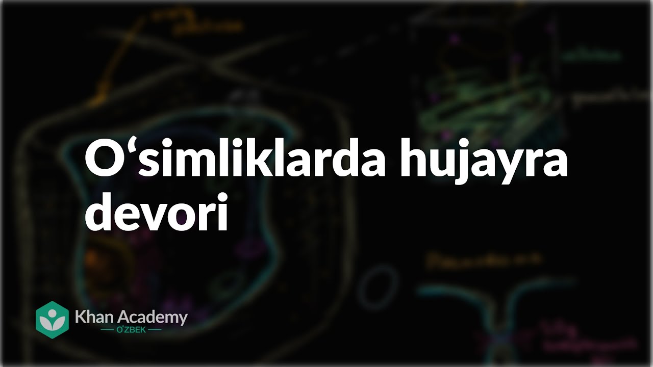 Oʻsimliklarda hujayra devori | Hujayra strukturasi | Biologiya - YouTube