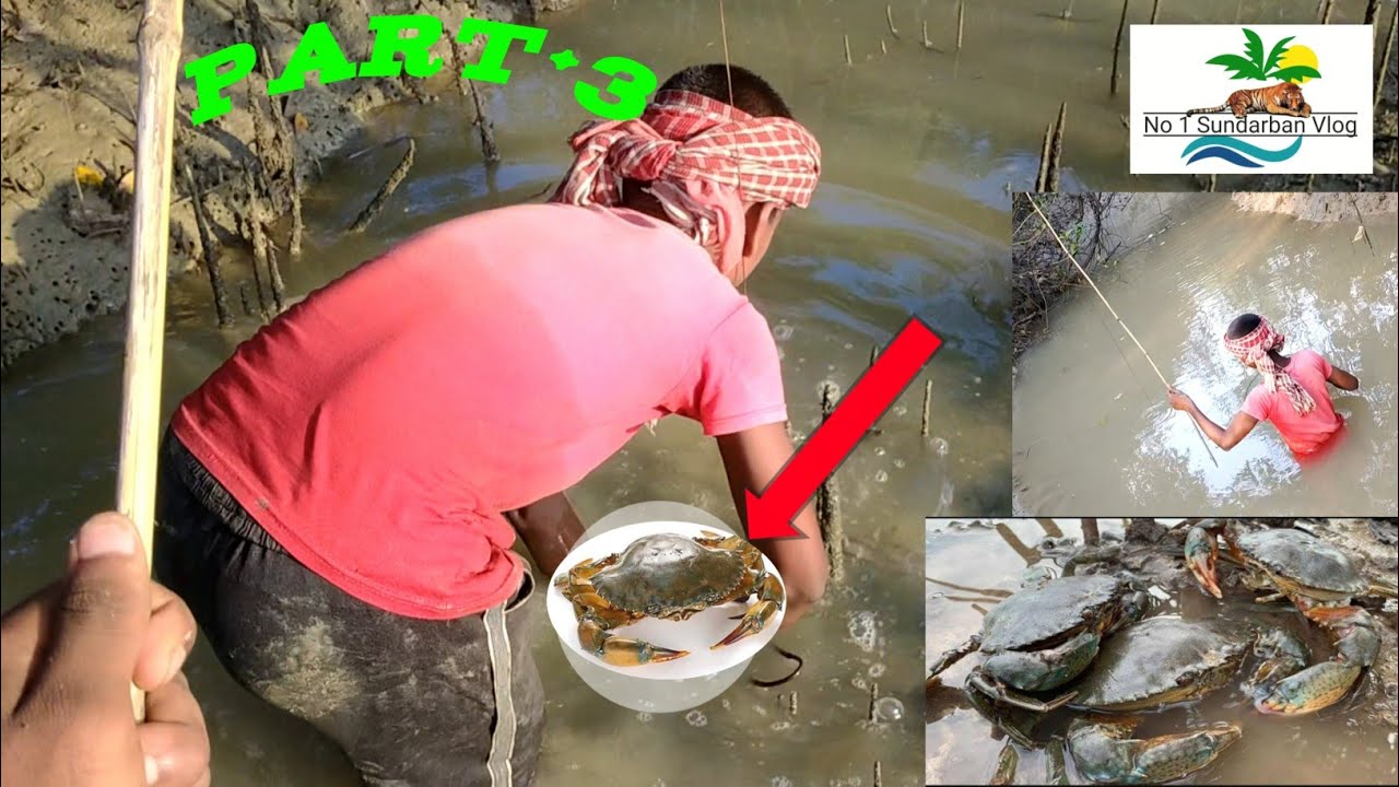 Thrilling Crab Catching Adventure: Part Three - Exploring the Uncharted ...