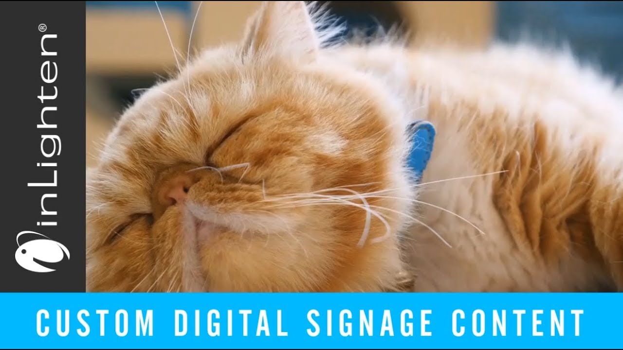inLighten - Custom Digital Signage Content VAS084L - YouTube