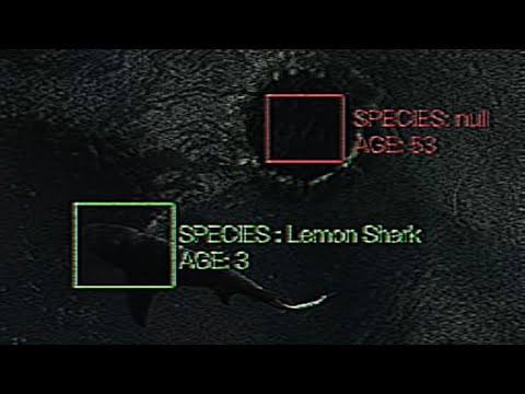 Deep Blue - Santa Rosa Aquarium (Analog Horror)