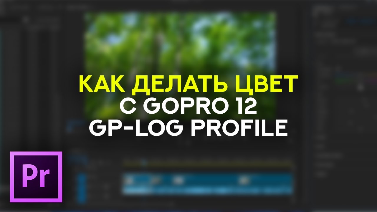 Как делать цвет с GoPro 12 GP-LOG Profile - YouTube
