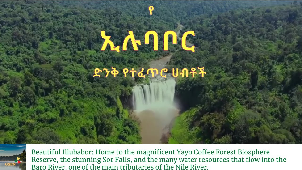 የኢሉባቦር ድንቅ የተፈጥሮ ሀብቶች | Illubabor's beautiful green landscape & amazing ...