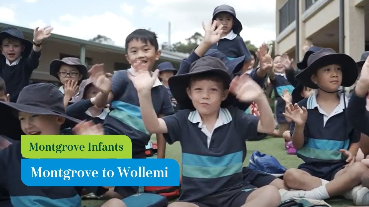 Moving to Wollemi - YouTube