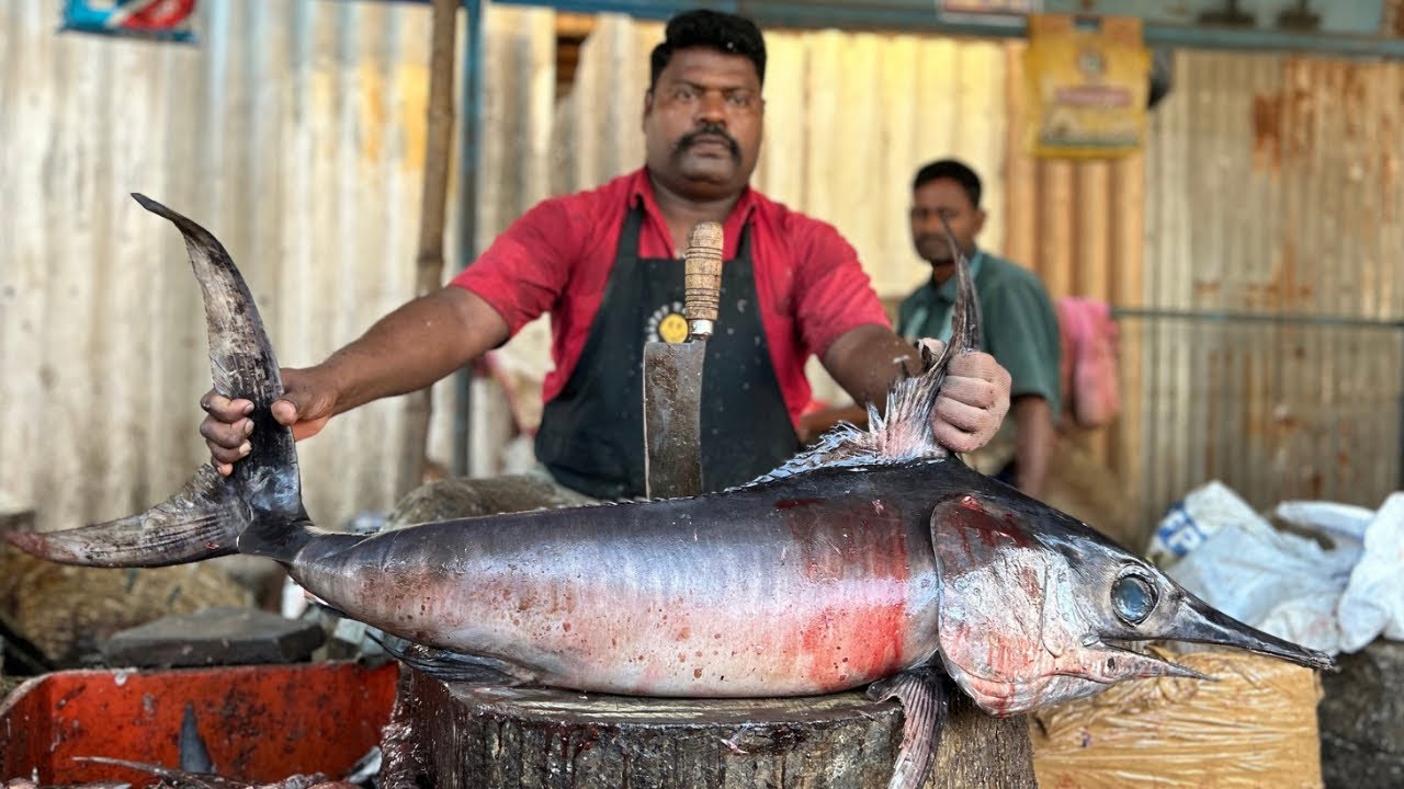 25 KG BIGGEST PIG KOLA FISH CUTTING🔥🔪KASIMEDU SELVAM INCREDIBLE FASTEST ...