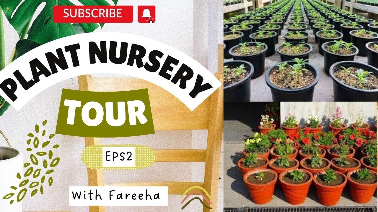 Plant Nursery Visit / Plant Nursery Tour/Plant Nursery/Gardening My ...
