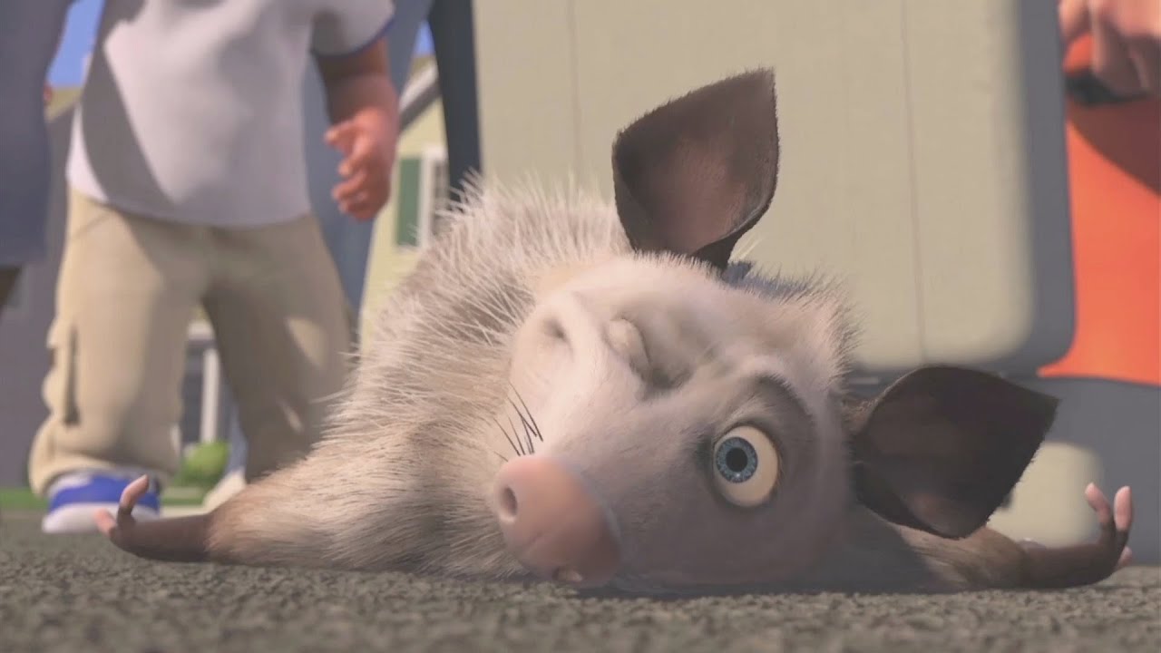 Over The Hedge: Ozzie (2006) (3) - YouTube
