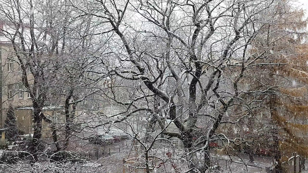 Snow Falling 4K | Relaxing Background Video - YouTube