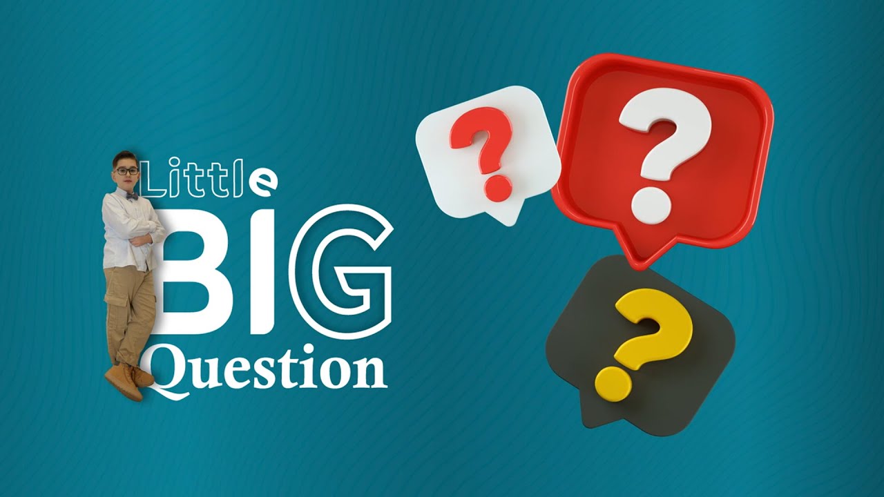 LITTLE BIG QUESTION/ Deon Gjoni vendos ekspertët e ekonomisë përballë ...