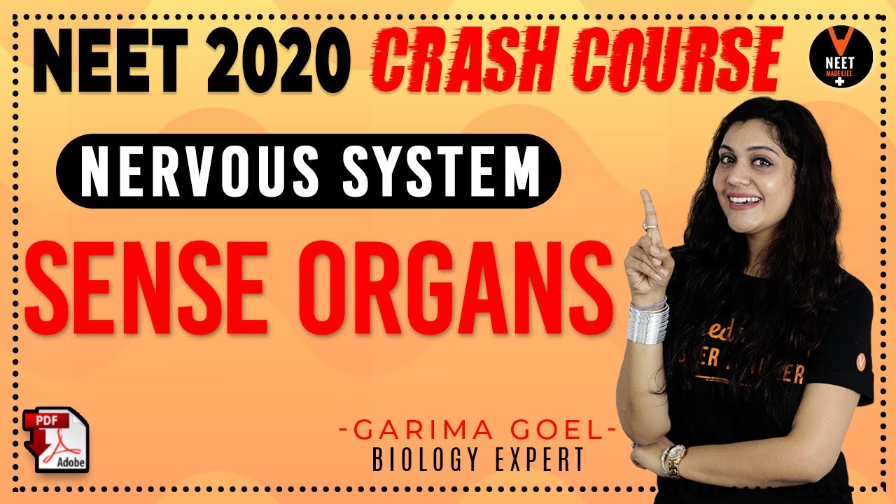 Nervous System and Sense Organ | Crash Course for NEET 2020 Preparation ...